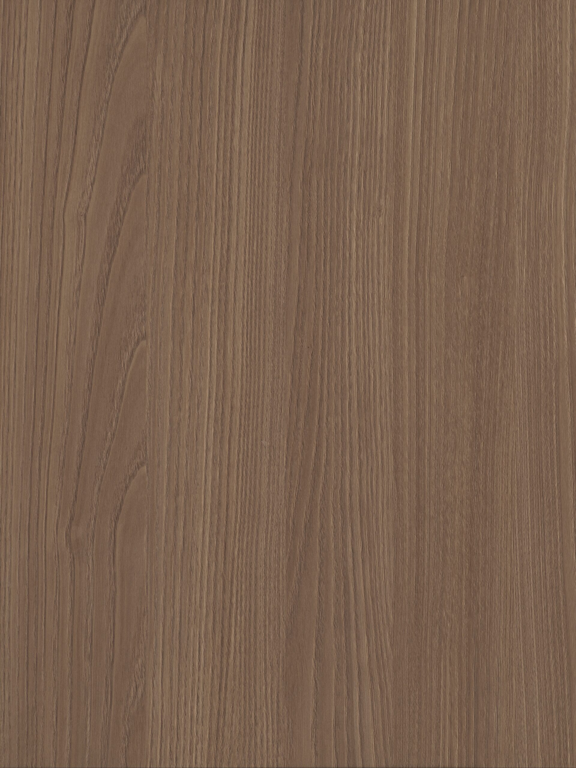 CORTECCIA S215 - Kanelli